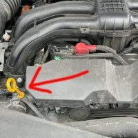 How to Check Your Oil | The Daily Drive | Consumer Guide®