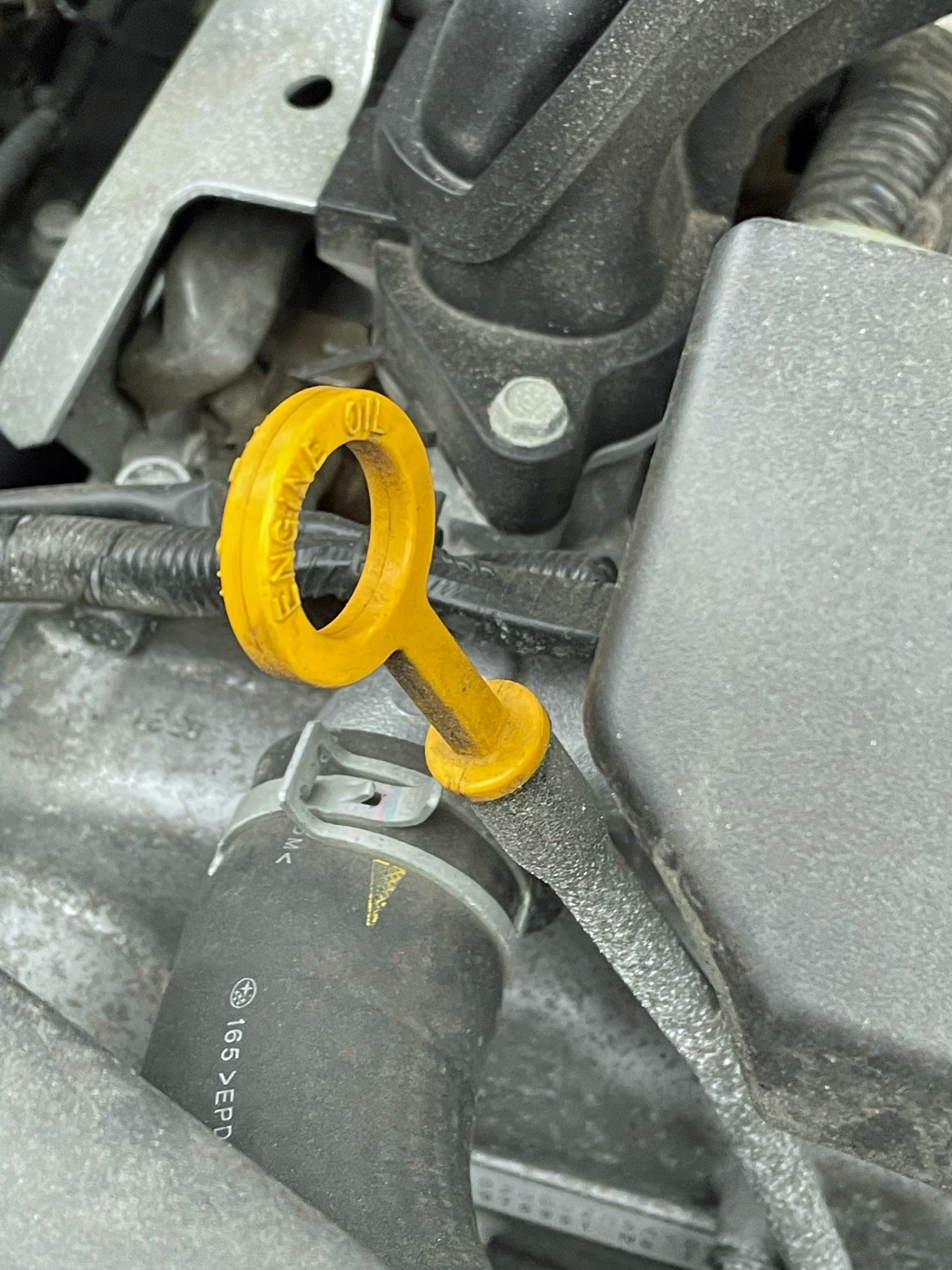 How to Check Your Oil | The Daily Drive | Consumer Guide®