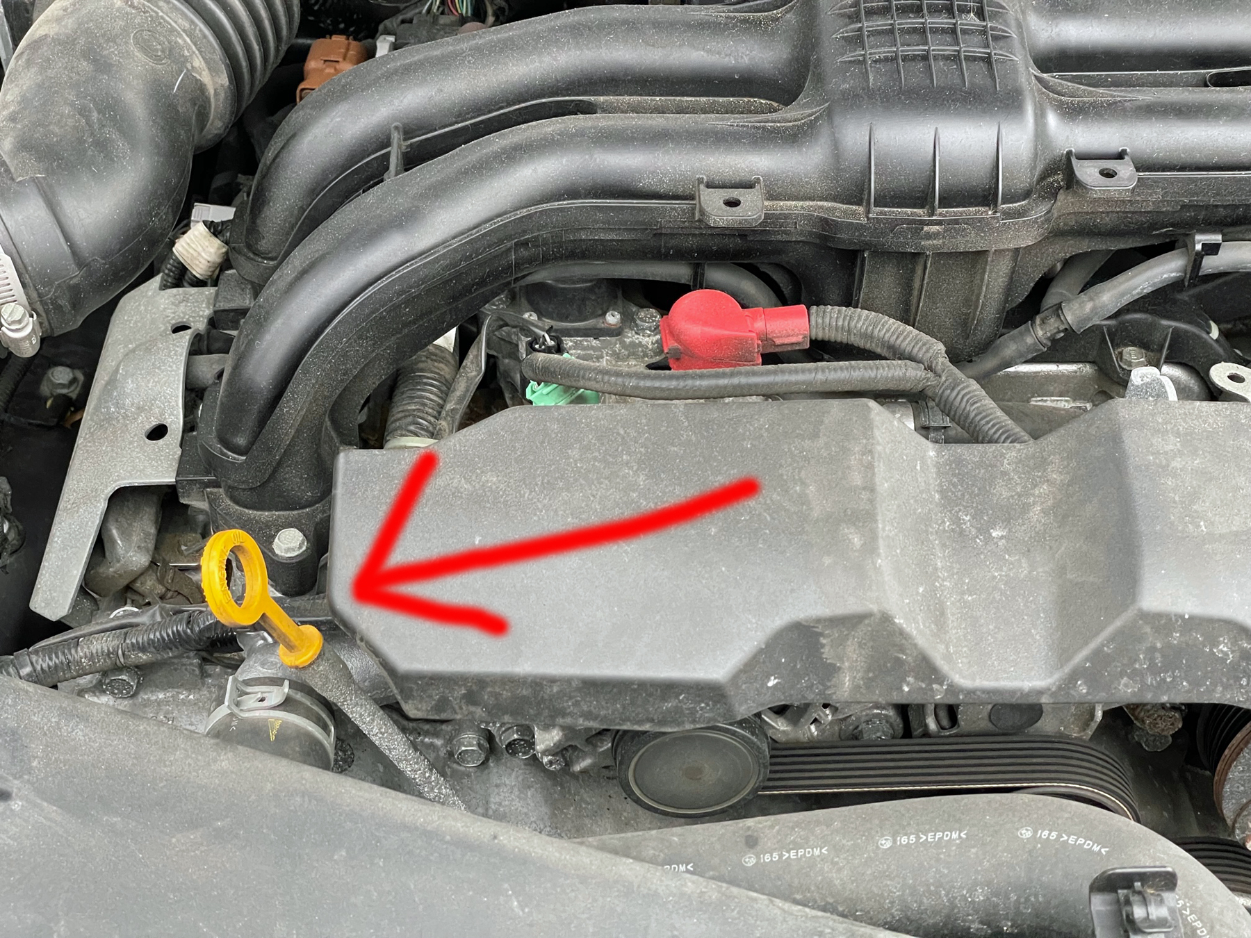 How to Check Your Oil | The Daily Drive | Consumer Guide®